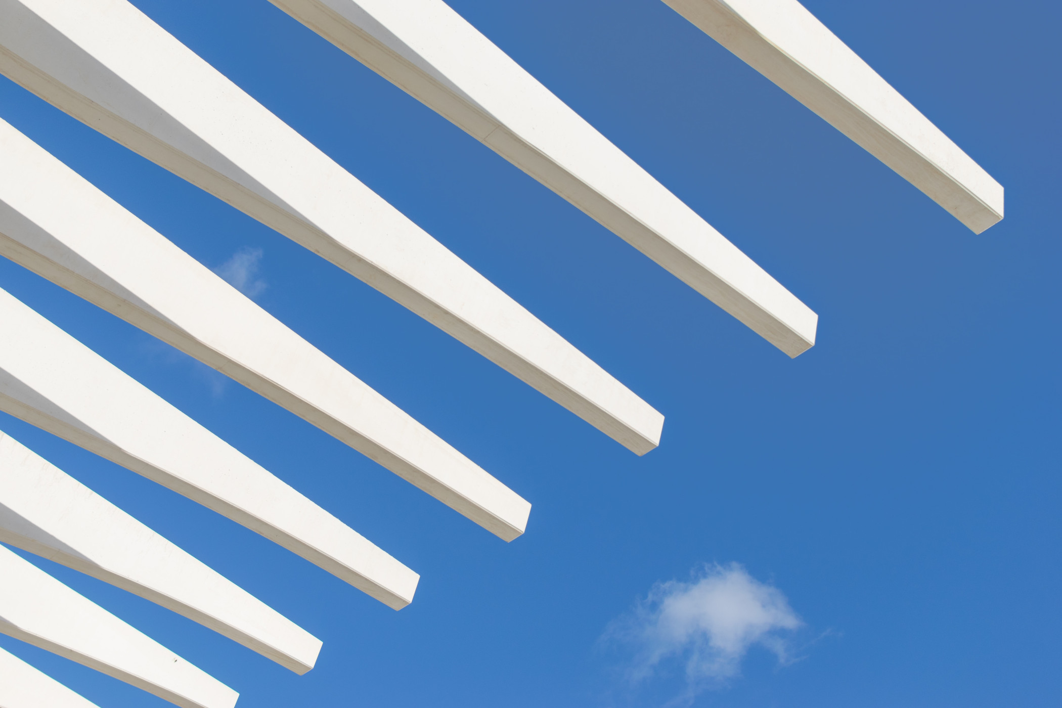 Project Structure Sveltekit Static Blog Template